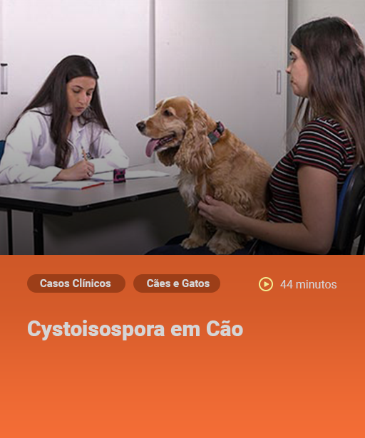VET Profissional | A Netflix da Medicina Veterinária