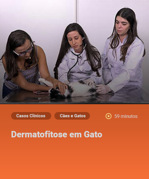 VET Profissional | A Netflix da Medicina Veterinária