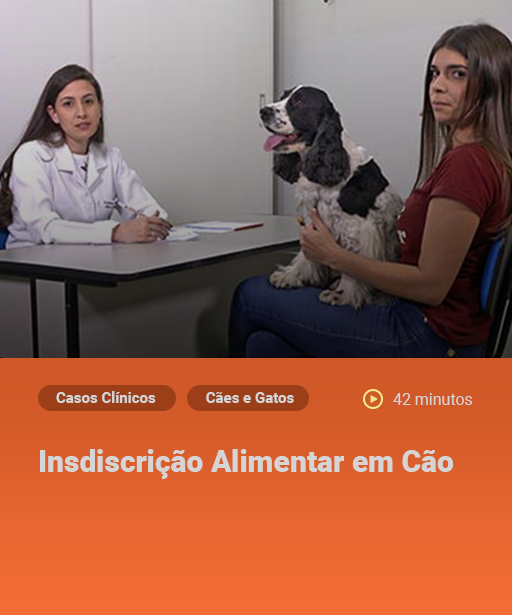 VET Profissional | A Netflix da Medicina Veterinária
