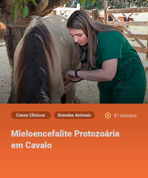 VET Profissional | A Netflix da Medicina Veterinária