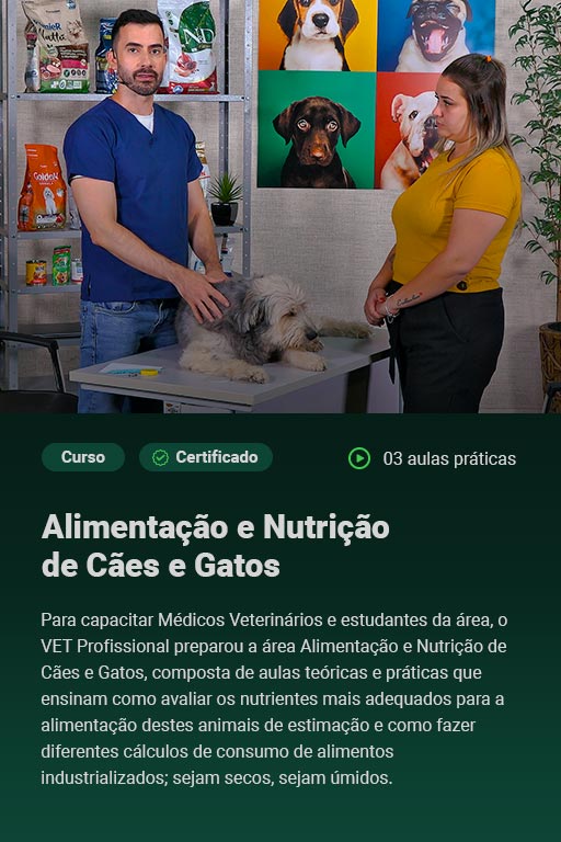 VET Profissional | A Netflix da Medicina Veterinária