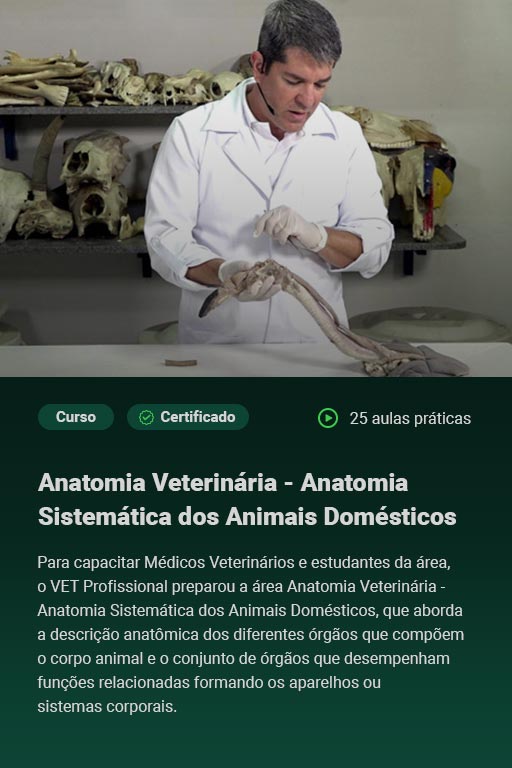 VET Profissional | A Netflix da Medicina Veterinária