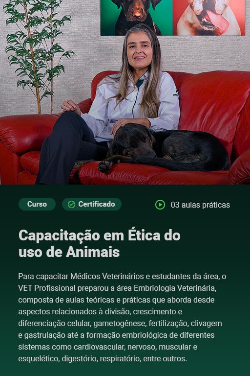 VET Profissional | A Netflix da Medicina Veterinária