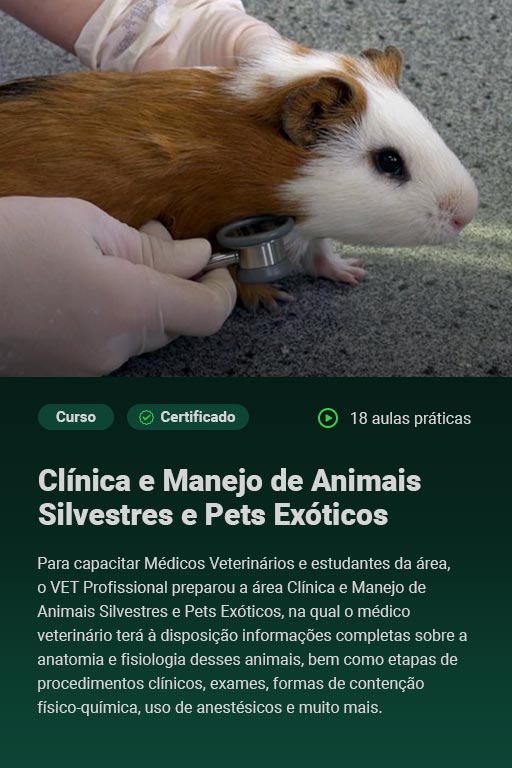 VET Profissional | A Netflix da Medicina Veterinária